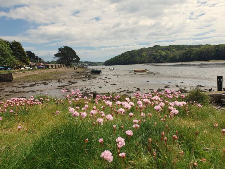 A wonderful sunny May in Cornwall | Tehidy Holiday Park